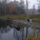 ecosystemengineers | Brownfield, Maine 04010 | Gra...
