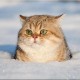 #595: Q: How do I stop being so grumpy at people who are monopolizing ...